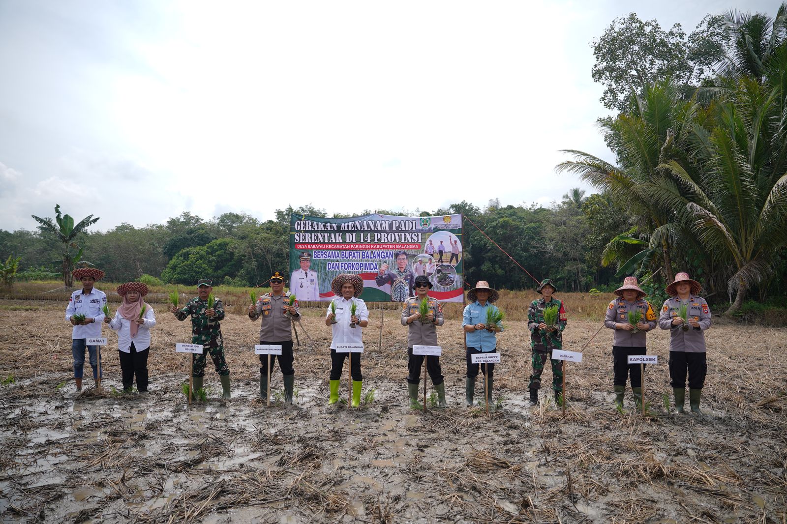 Pemkab Balangan Ikuti Gerakan Tanam Padi Serentak Nasional 2025